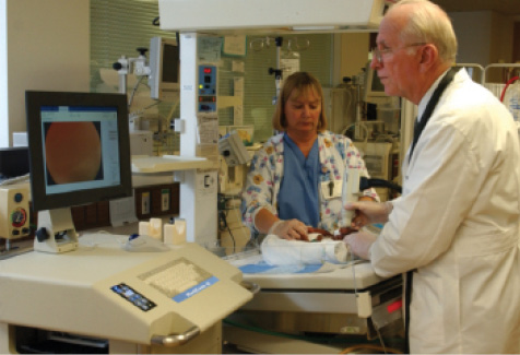 Widefield Imaging in Pediatric Retinal Disease - Retina Today